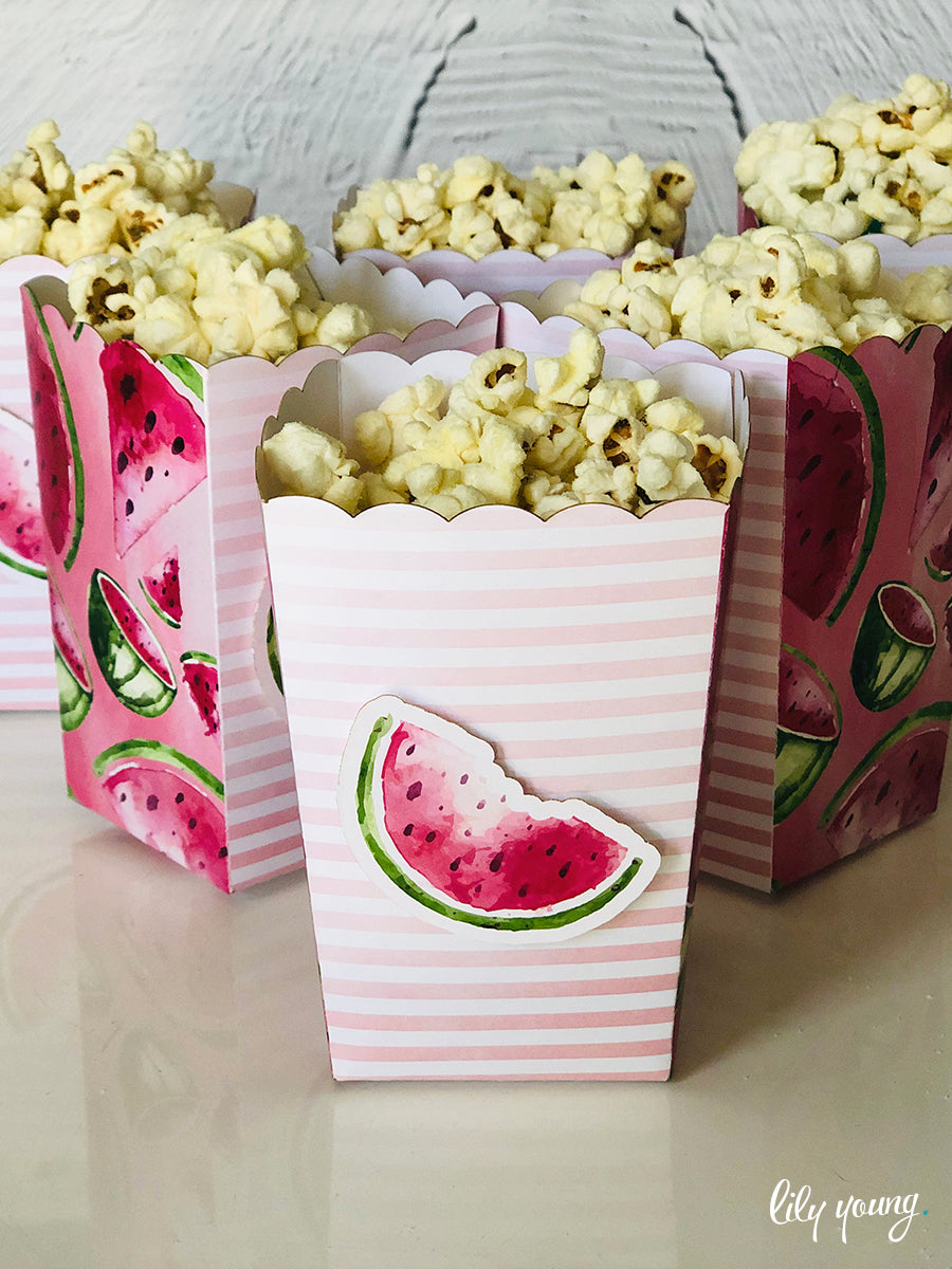 One in a Melon Popcorn boxes | Birthday’s | Lily Young – Lily Young Designs